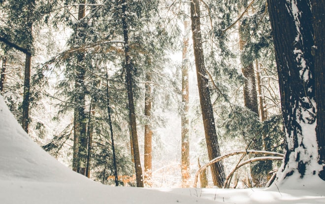 Making peace with winter fatigue: How to optimize your energy levels t ...