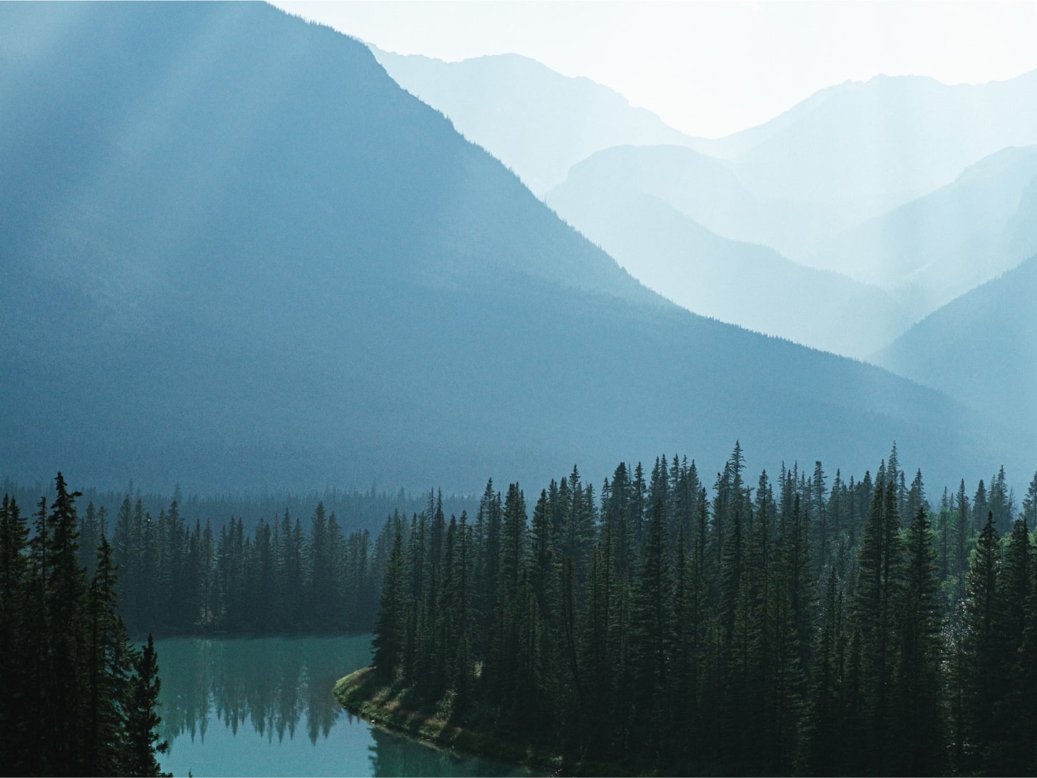 Does the Apollo wearable actually work? – Apollo Neuro